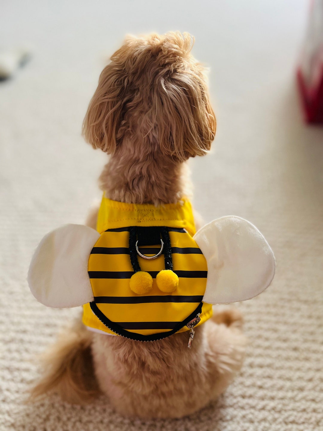 Dog Adjustable Harness and Leash Set, Halloween Honeybee Costume, With ...