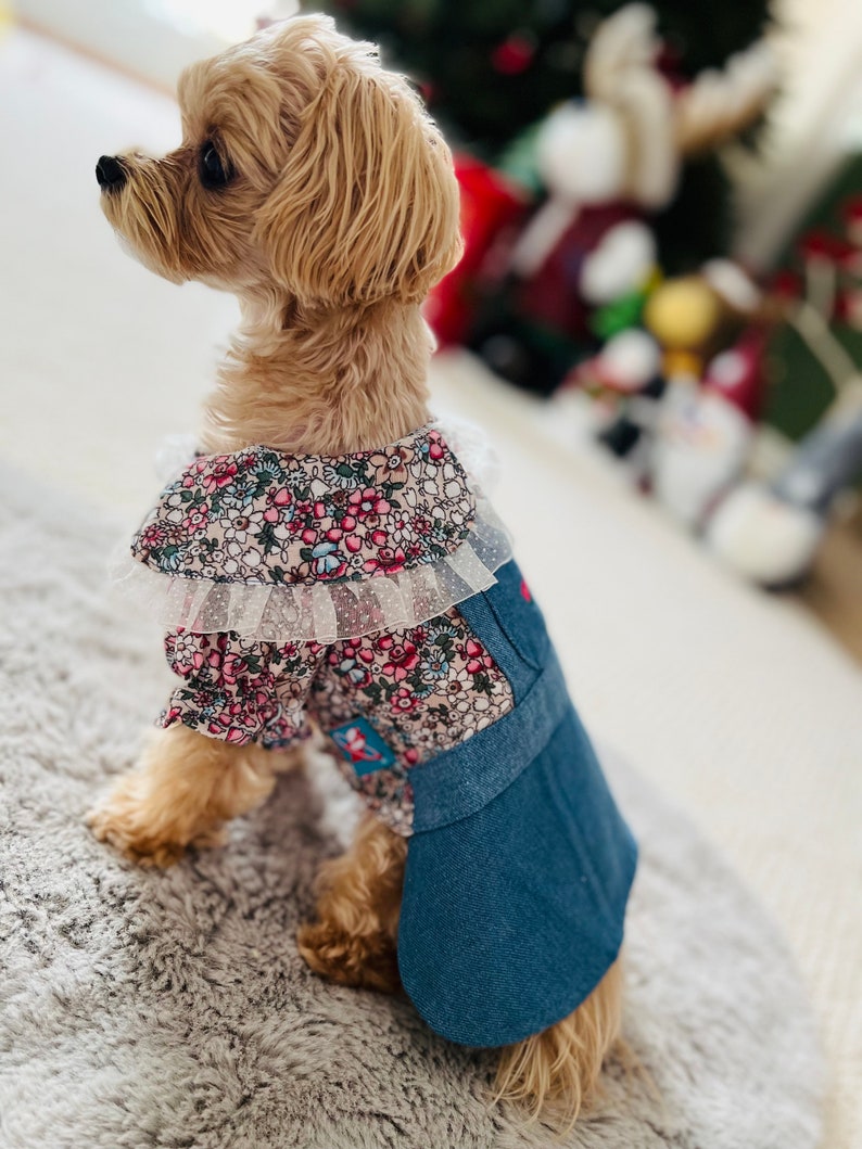 Cowgirl Dog Dress Rodeo Costume for Halloween Kitten Puppy - Etsy
