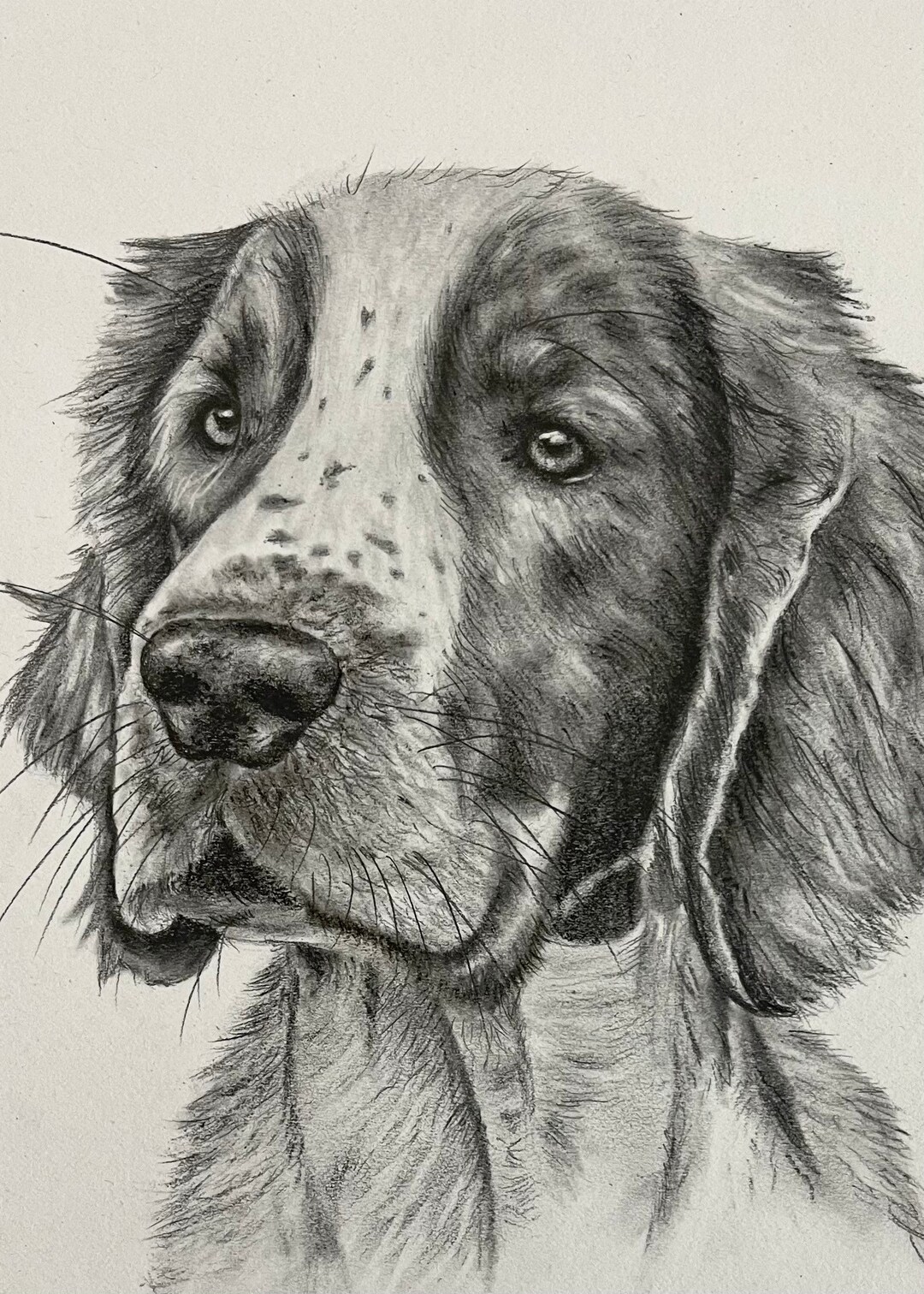 A4 Custom Pet Portrait | Custom Dog Portrait| Pet Commission | Custom ...