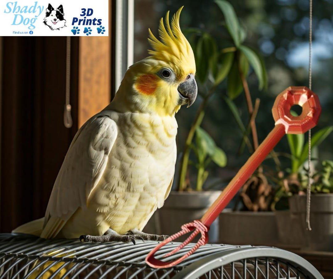 Donut-shaped Bird Feather Scratcher: Doubles as Itch Relief and a Perch ...