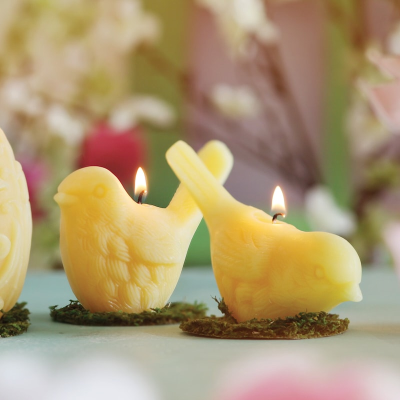 Bird Candle Beeswax - Etsy
