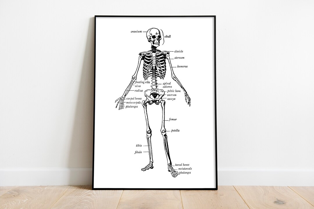 Anatomical Skeleton Printable Wall Sign | Spooky Halloween Art Print ...