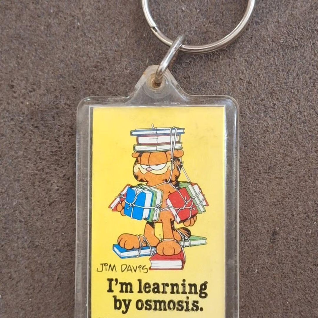 1978 Im Learning by Osmosis Garfield Keychain - Etsy