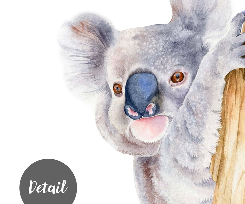 Watercolor Koala Art for Print, Koala Bear, Australian Animals for ...