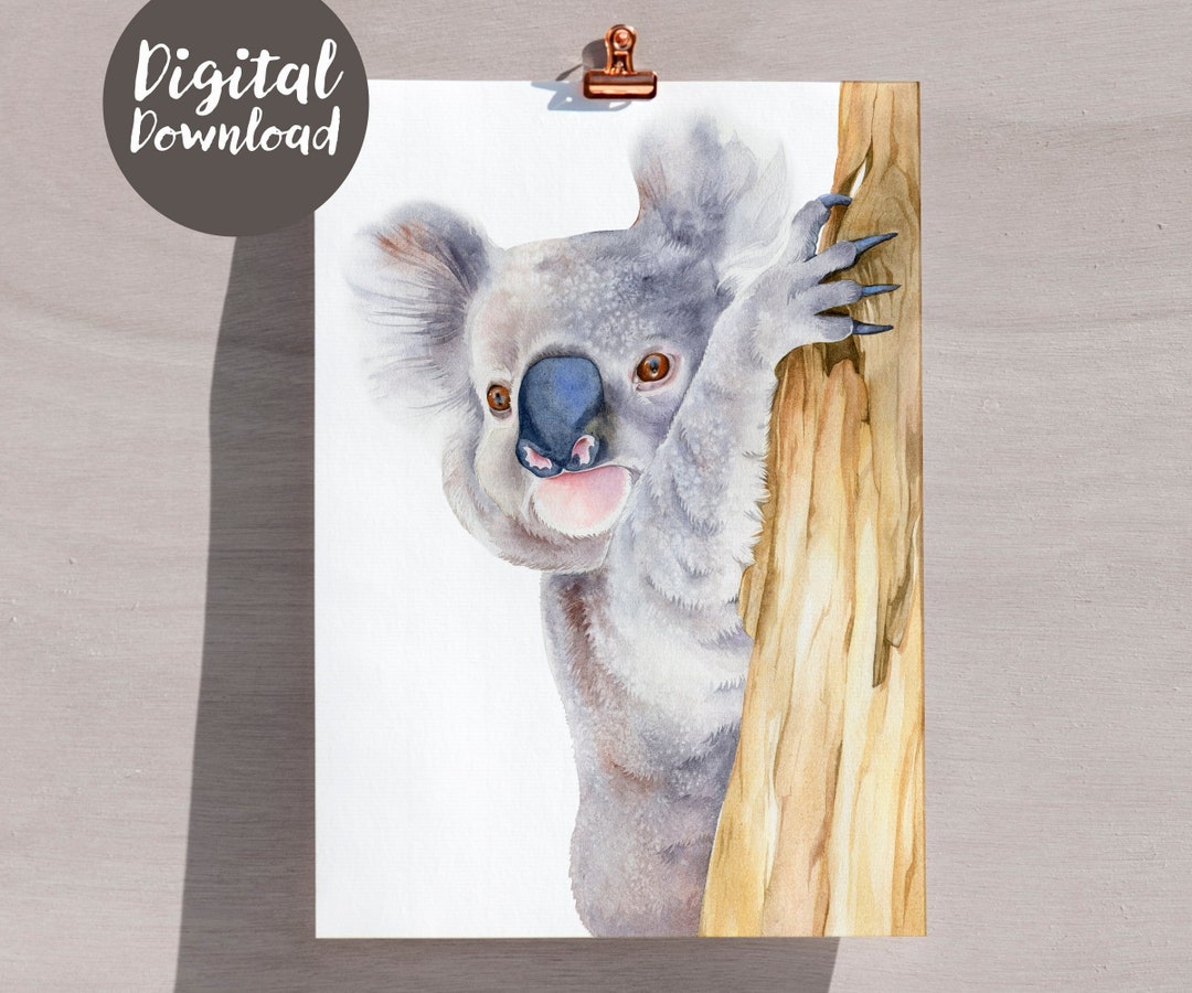 Watercolor Koala Art for Print, Koala Bear, Australian Animals for ...
