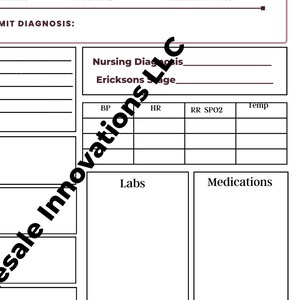 Student Nurse Clinical Report Sheet - Printable - Etsy