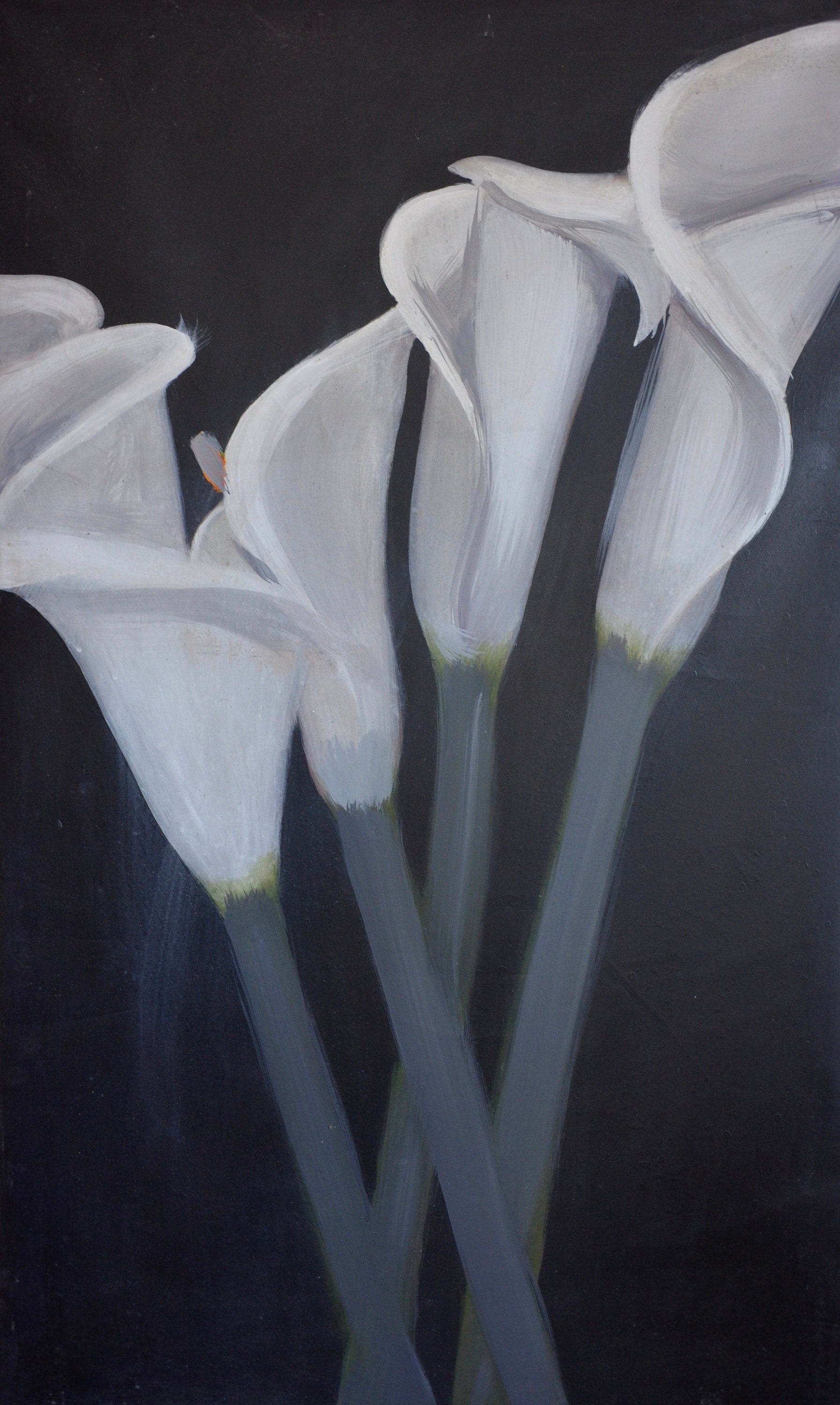Abstract Still Life on Black Background. Original Oil Painting by a ...
