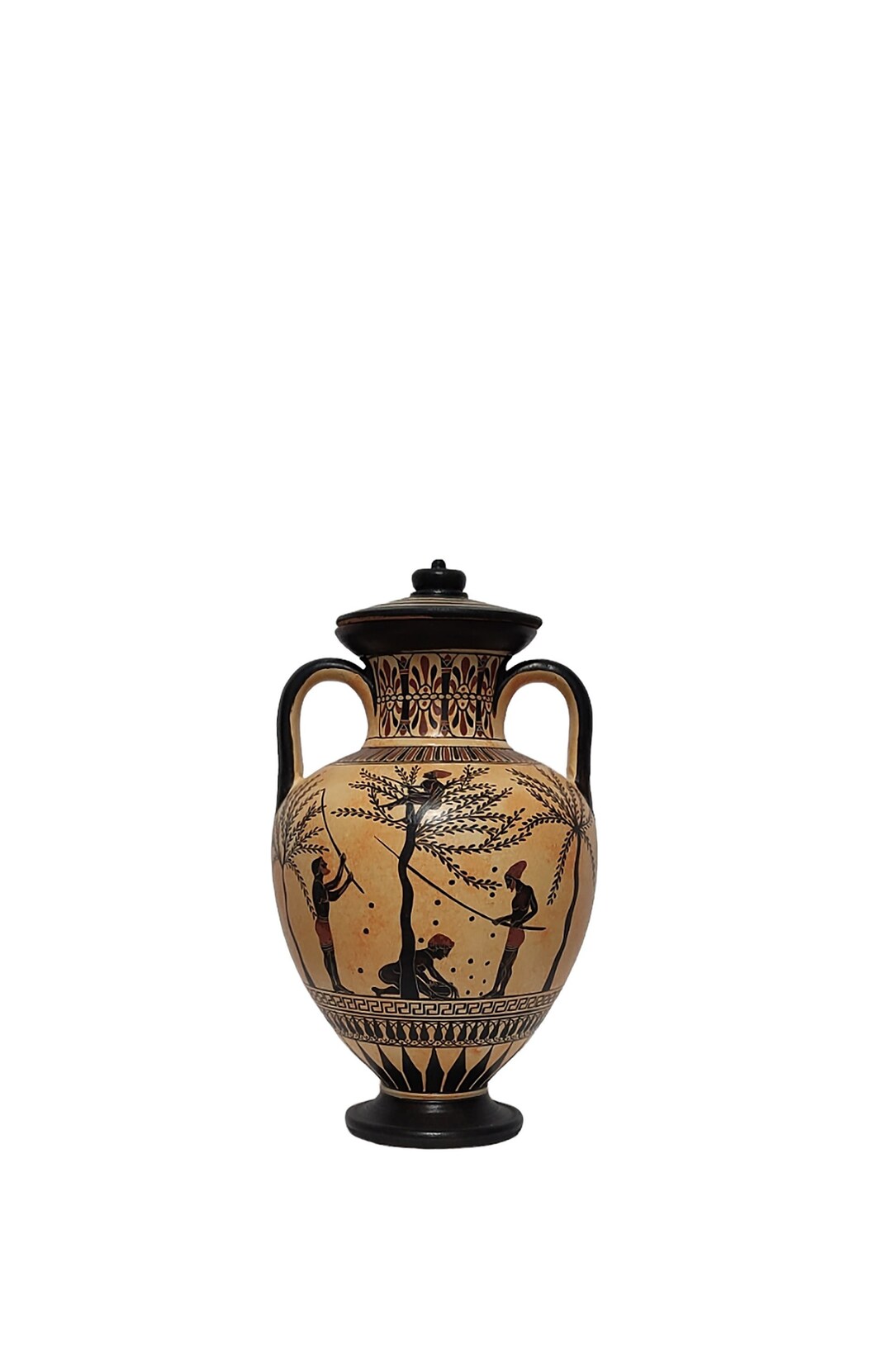 Ancient Greek Amphora Olive Gathering, Greek Vase, Herakles and Centaur ...