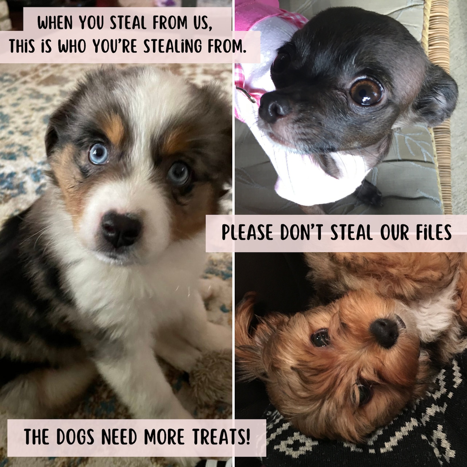 SVG Three QR Code Business Sign Mixer Cut File, Digital Download ...