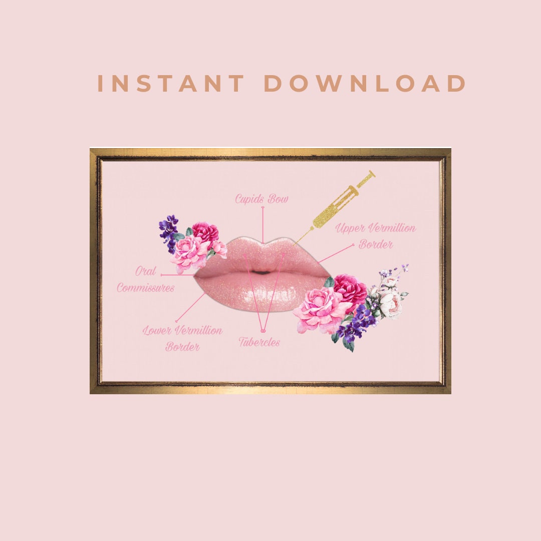 Lip Anatomy Arts Poster, Lip Filler, Aesthetic Poster, Lip Filler ...