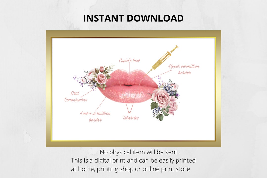 Lip Anatomy Arts Poster, Lip Filler, Aesthetic Poster, Lip Filler ...
