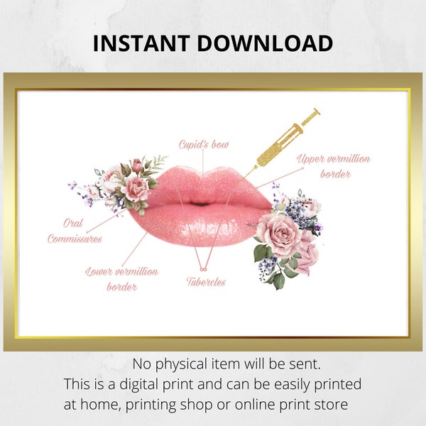 Aesthetic Anatomy Poster - Etsy