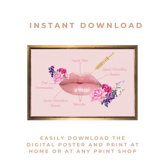 Lip Anatomy Arts Poster Lip Filler Aesthetic Poster Lip - Etsy
