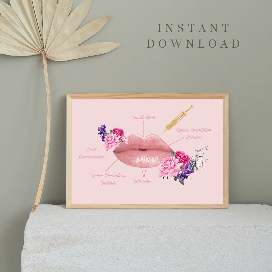 Lip Anatomy Arts Poster, Lip Filler, Aesthetic Poster, Lip Filler ...