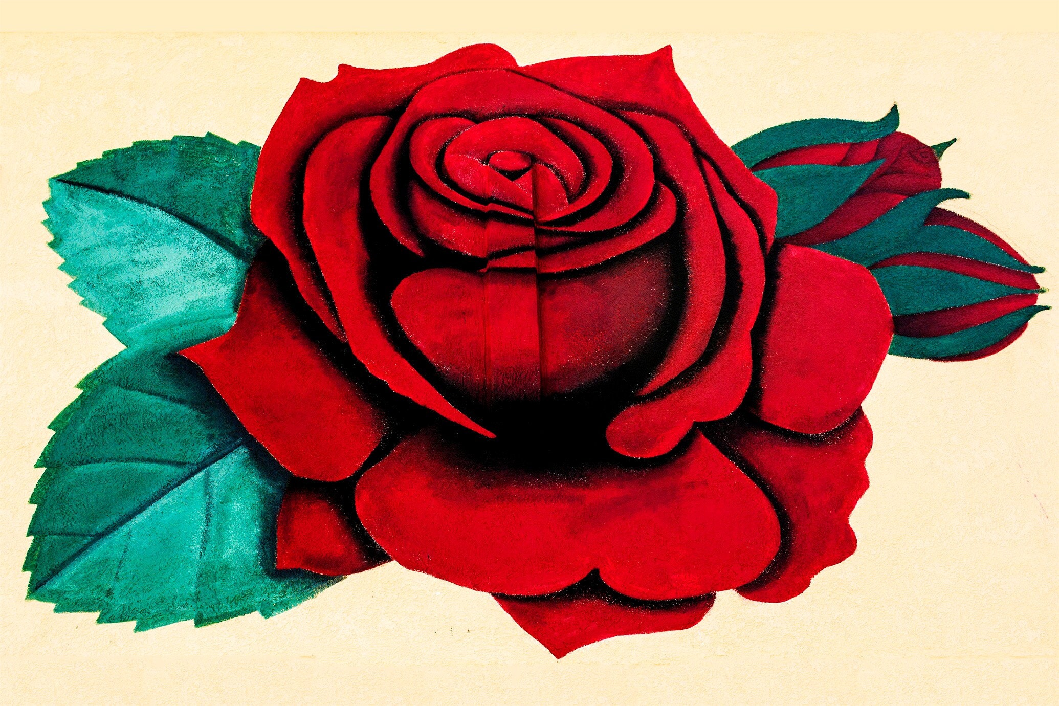 Graffiti Drawings Of Roses