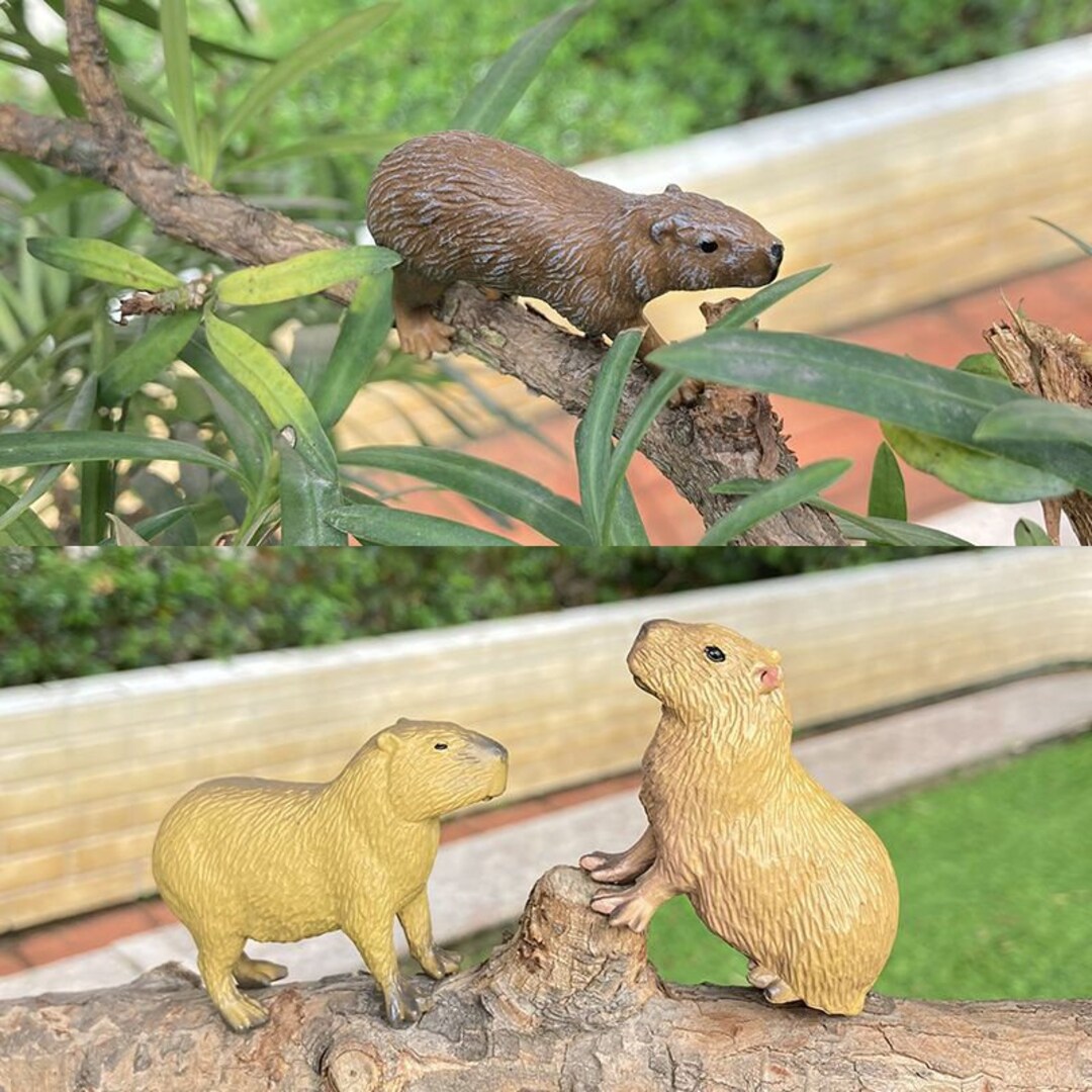 Capybara Figure Capybara Plastic Toy action Figure - Etsy