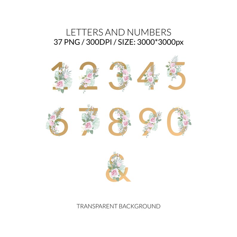 Floral Alphabet. Set of Letters and Numbers With Botanical Bouquet. PNG ...
