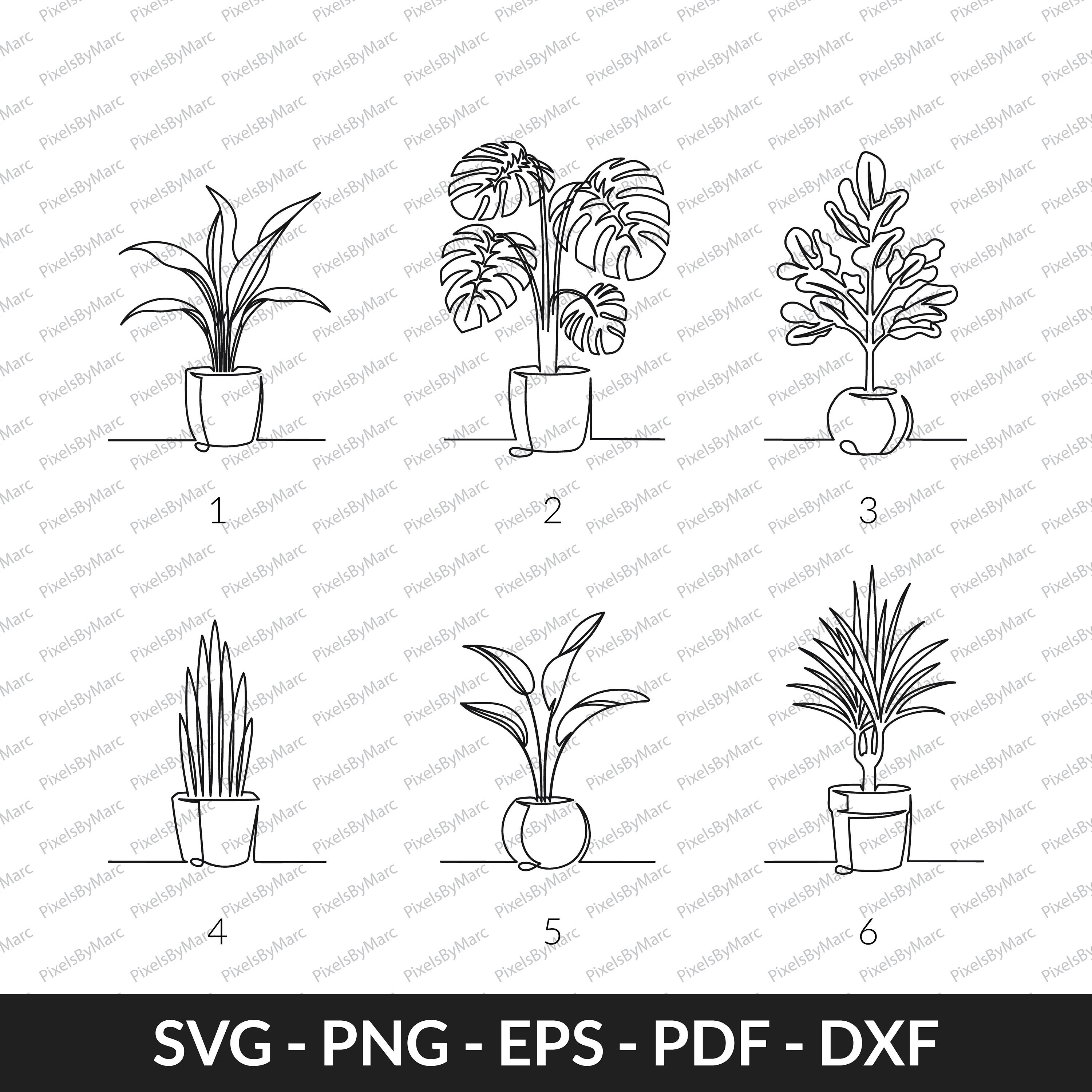 Set of 12 One-line Plant Drawings | Potted Plants SVG PNG | Instant ...