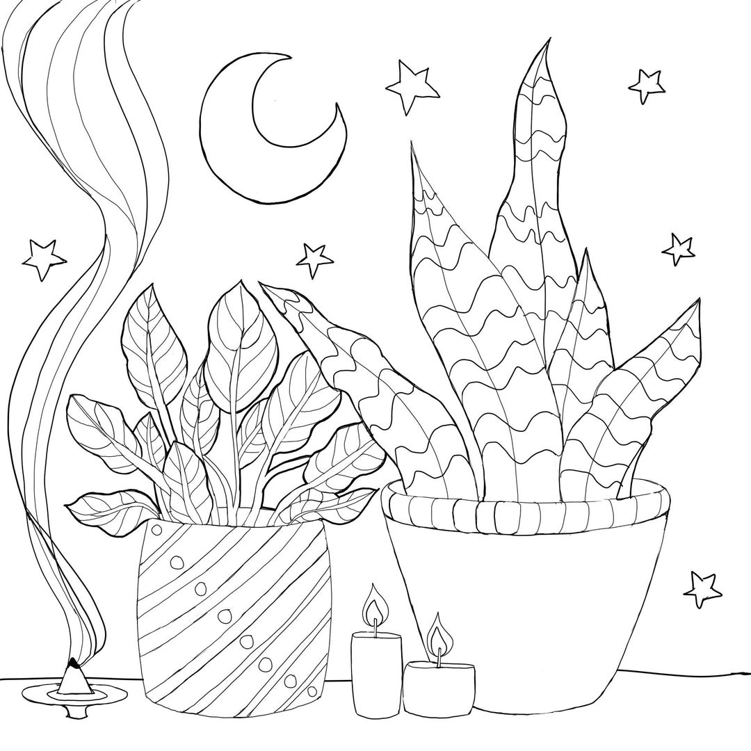 Coloring Pages Houseplants - Etsy