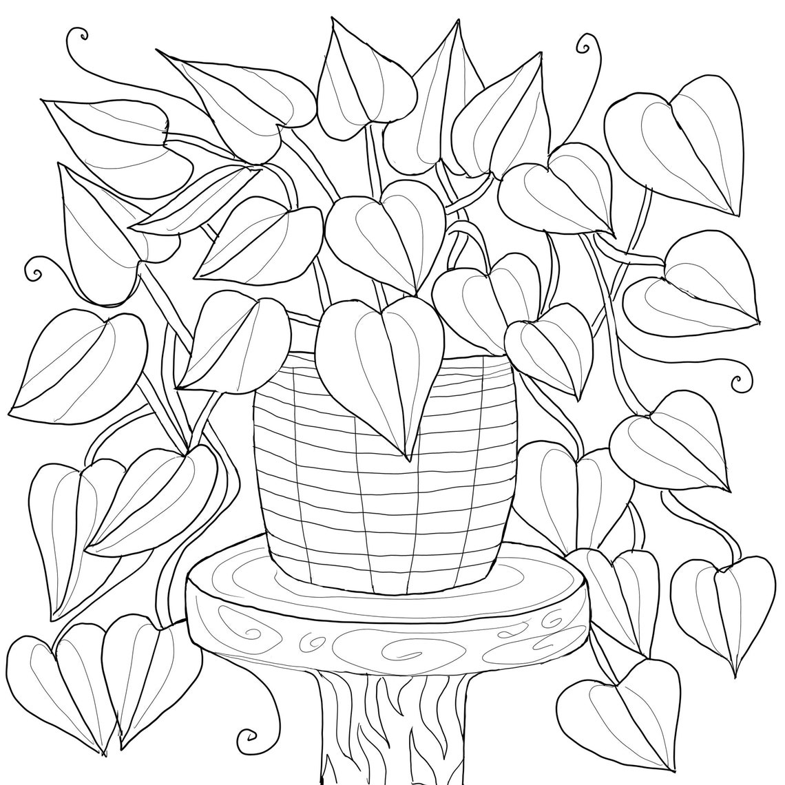 Coloring Pages | Houseplants - Etsy
