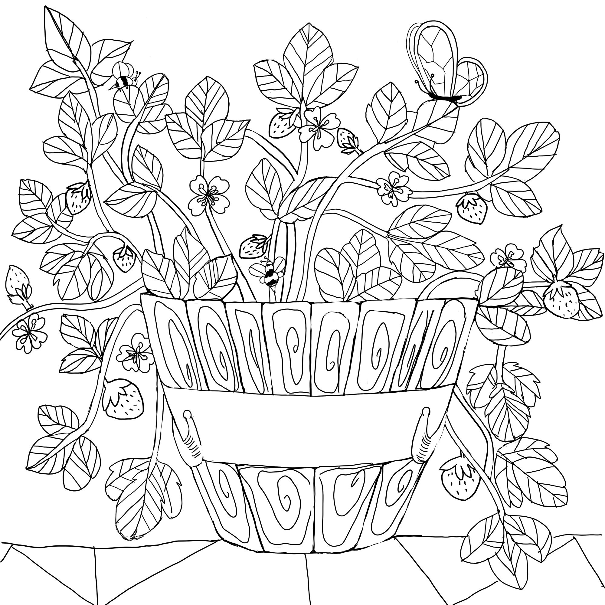Coloring Pages | Houseplants - Etsy