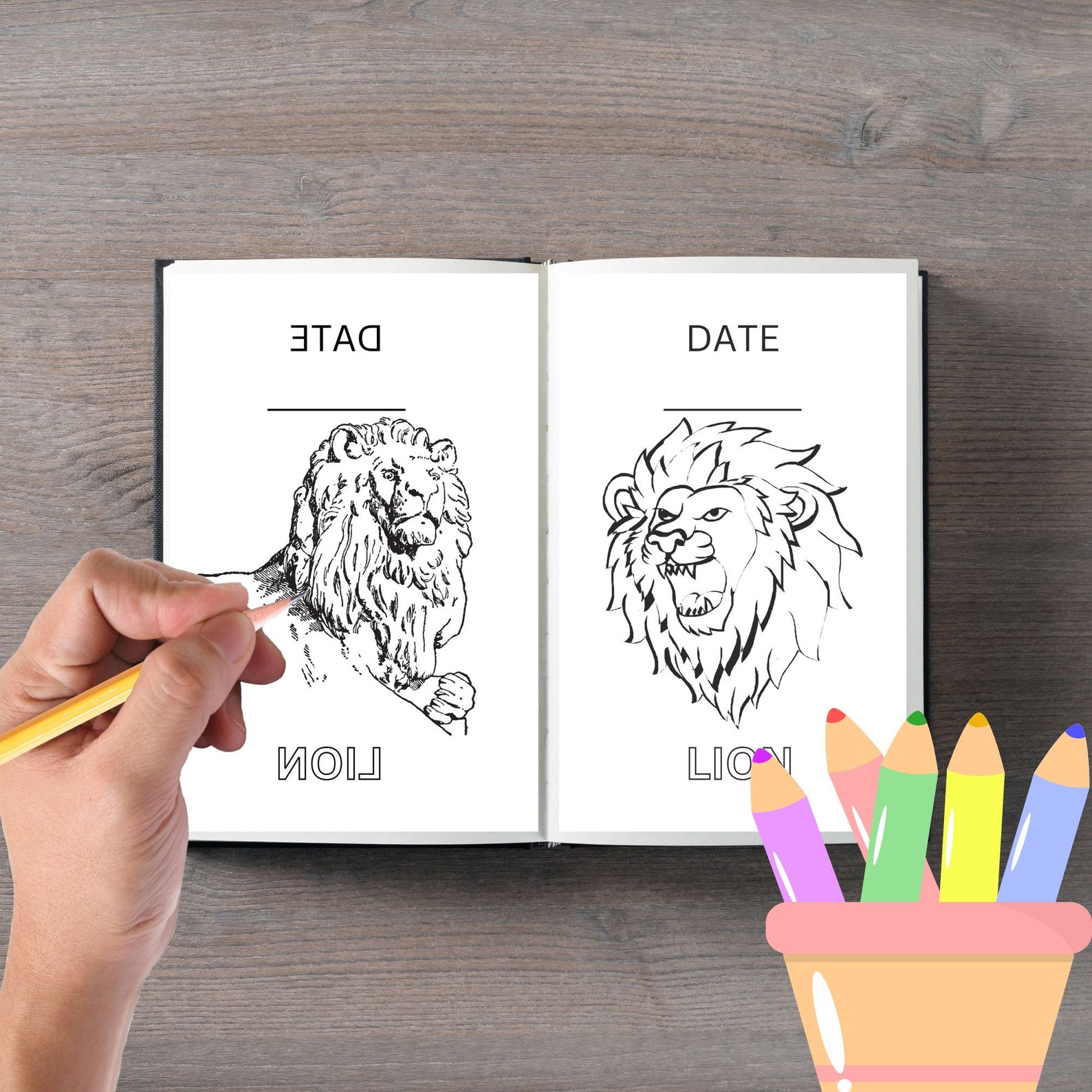 Realistic Lion Colouring Book for Kids/ 30 Pintable Unique Colouring ...