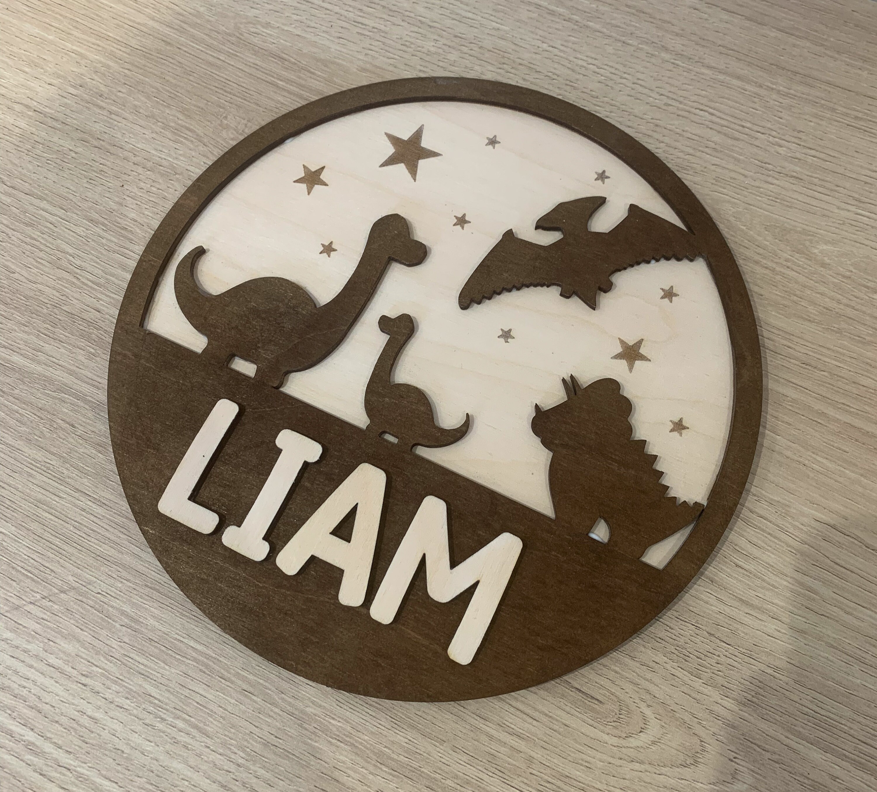 Dinosaur Plaque, Childrens Name Plaque, Custom Name Plaque, Wall Plaque ...