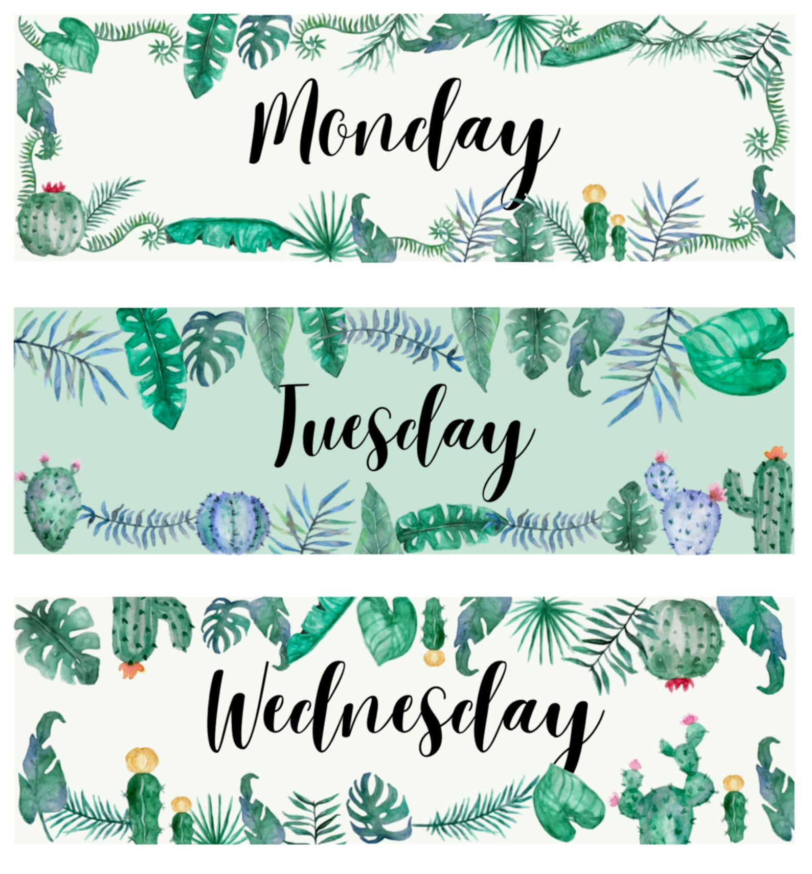 Botanical Drawer Labels - Days of the Week - Etsy