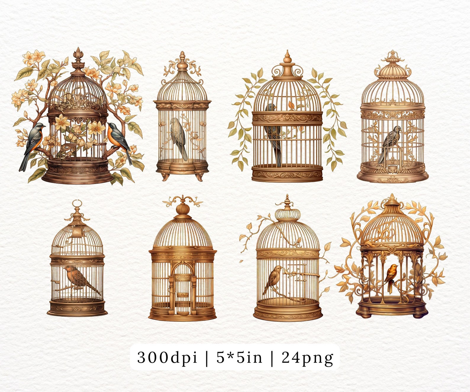 Watercolor Bird Cages, Vintage Shabby Antique Metal Bird Cage With ...