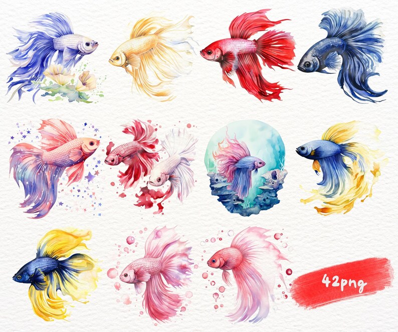 Watercolor Betta Fish Clipart Bundle , Colorful Vibrant Tropical ...