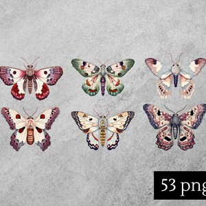 Mystical Moth Clipart Bundle - Set of 53,wiccan PNG, Witchcraft, Pagan ...
