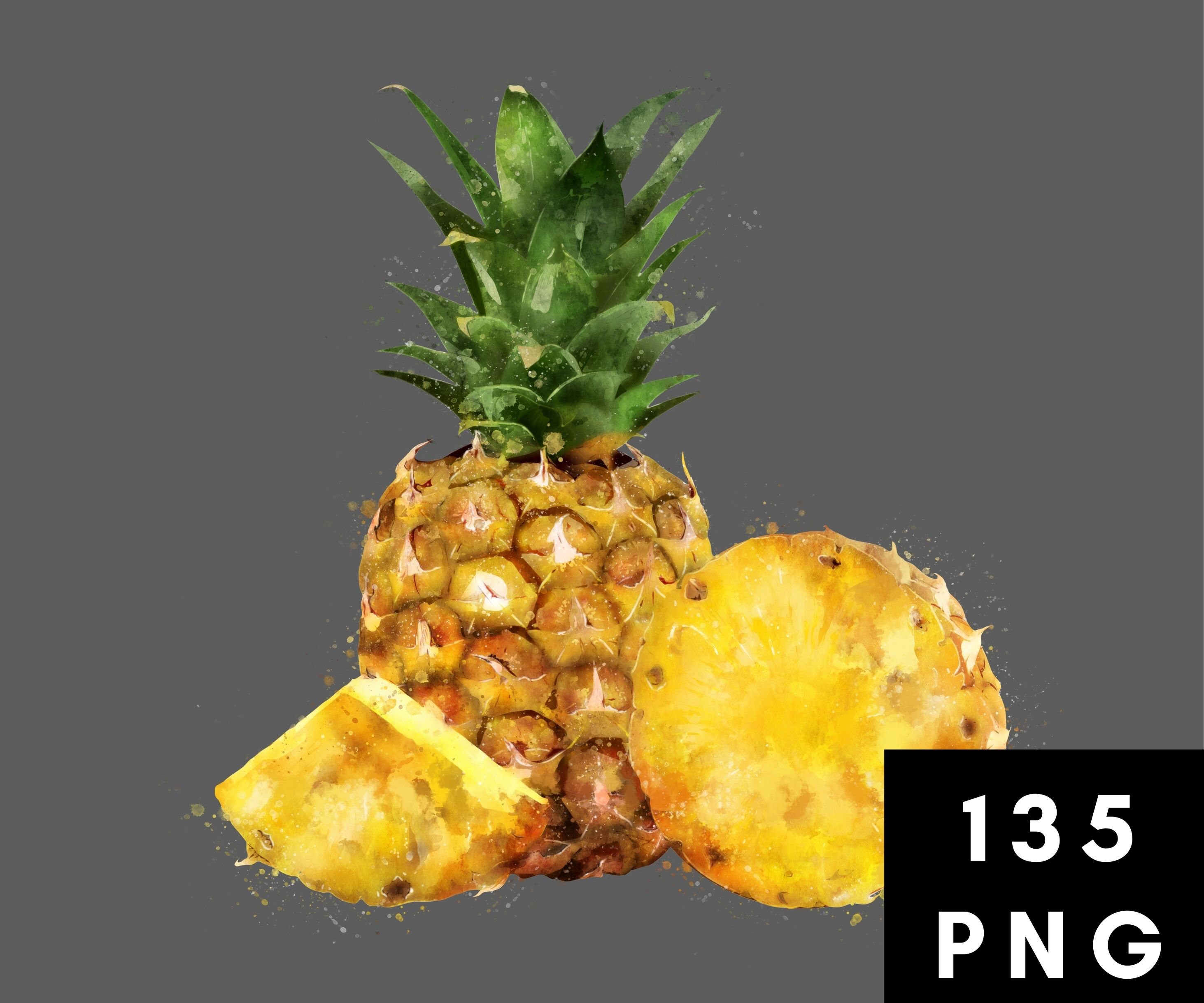 Watercolor Fruits and Vegetables Pngs With Transparent Backgrounds ...