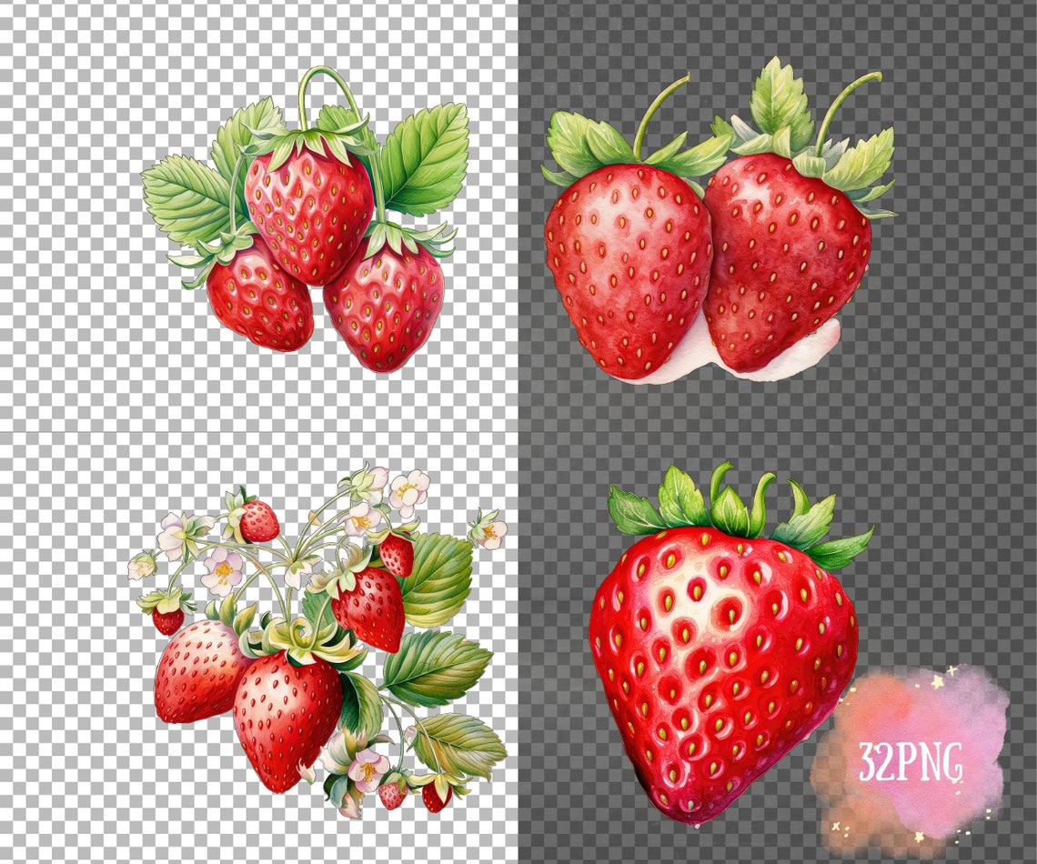 Strawberry Watercolor Clipart Decorative Frame Line Leaf - Etsy