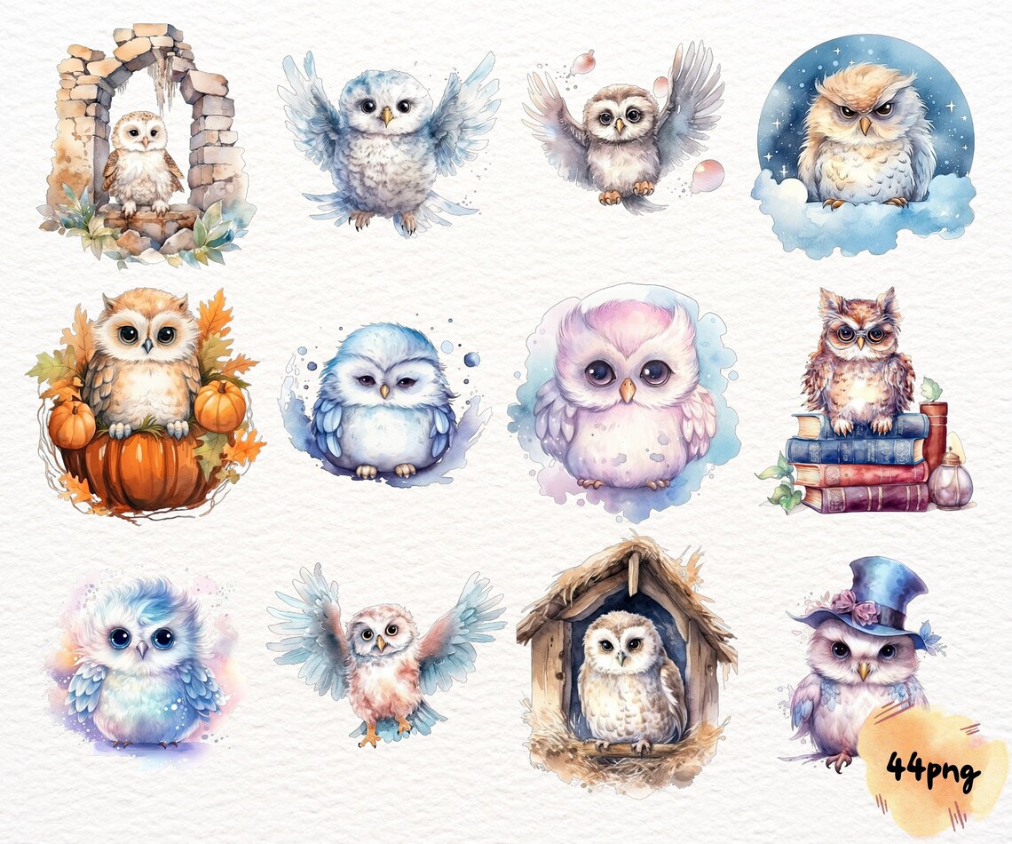 Chubby Owls Watercolor Clipart Cute Kawaii Cartoon Owls - Etsy