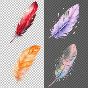 Watercolor Feathers Clipart Colorful Bird Feather Clip - Etsy