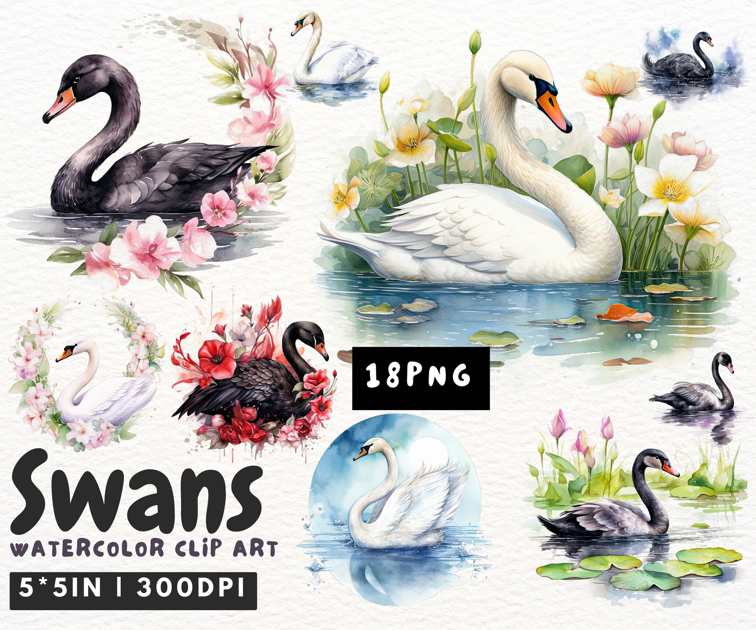 Swans Watercolor Clipart Cute Elegant Cartoon Black Swans - Etsy