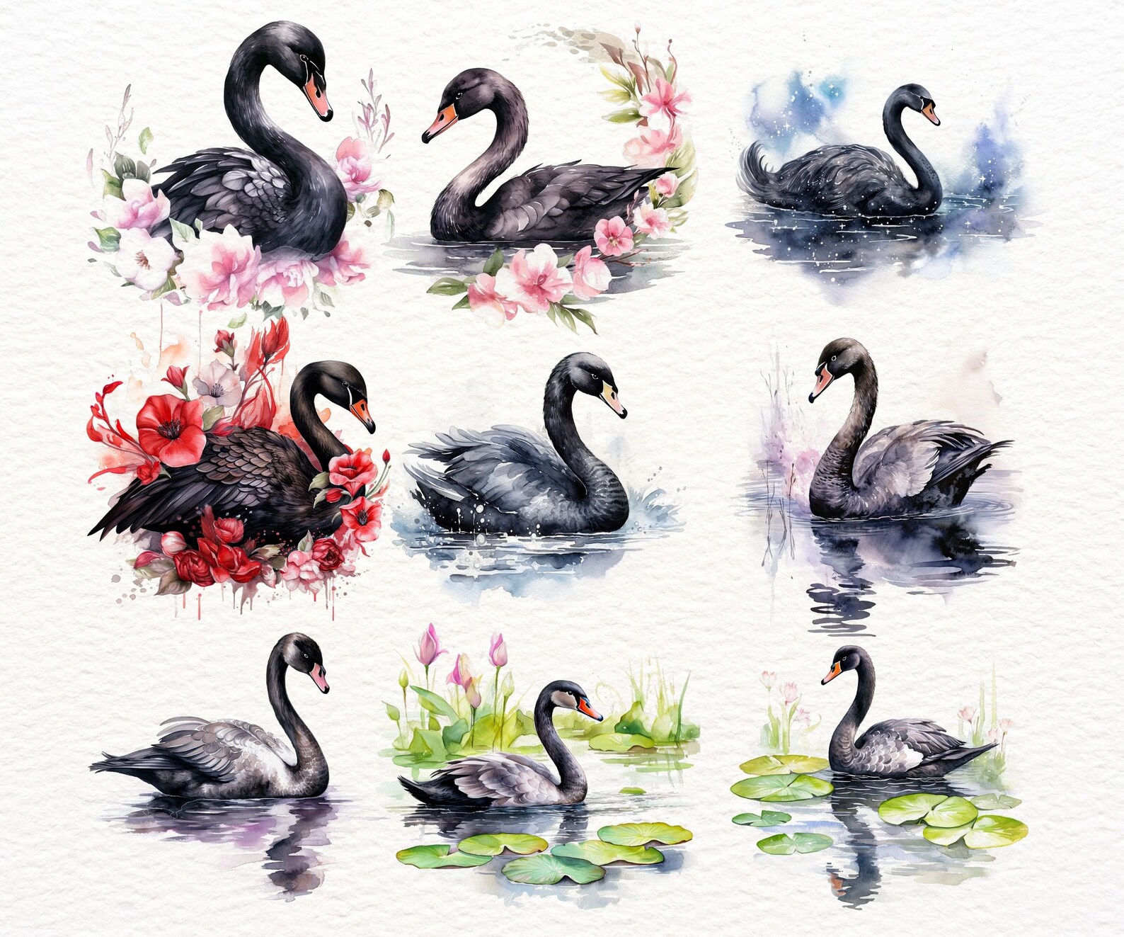 Swans Watercolor Clipart, Cute Elegant Cartoon Black Swans With Flowers ...
