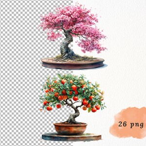 Watercolor Bonsai Tree Clipart - 26 PNG Miniature Tree Illustrations ...