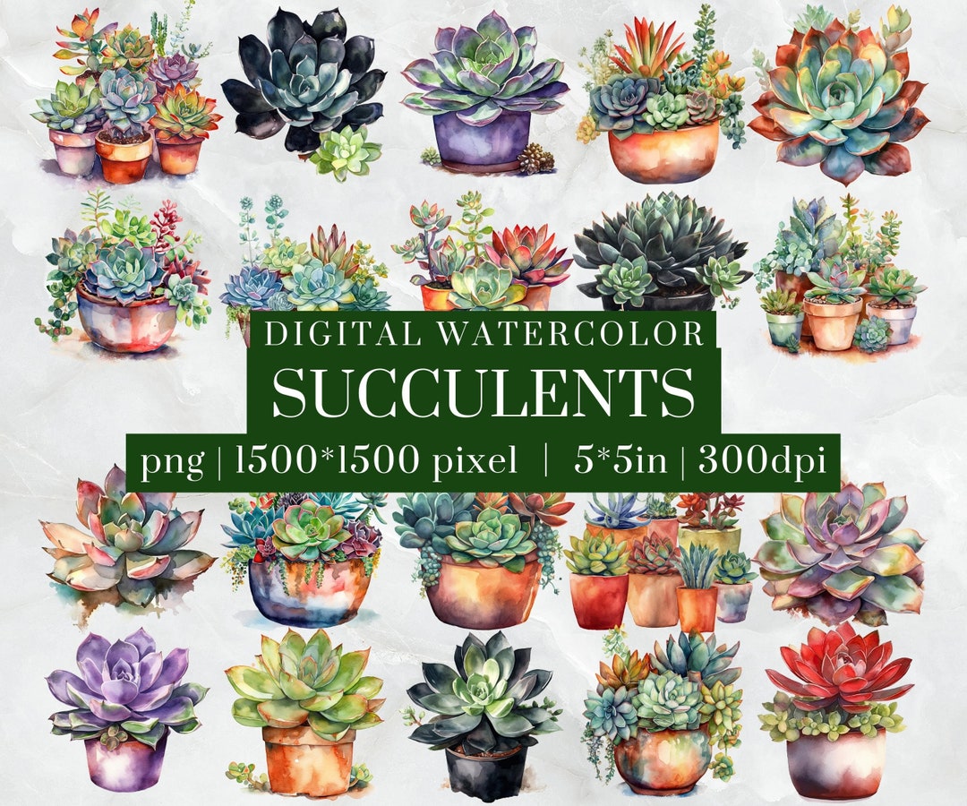 Watercolor Succulent Clipart Potted Plant PNG Bundle for Stickers ...