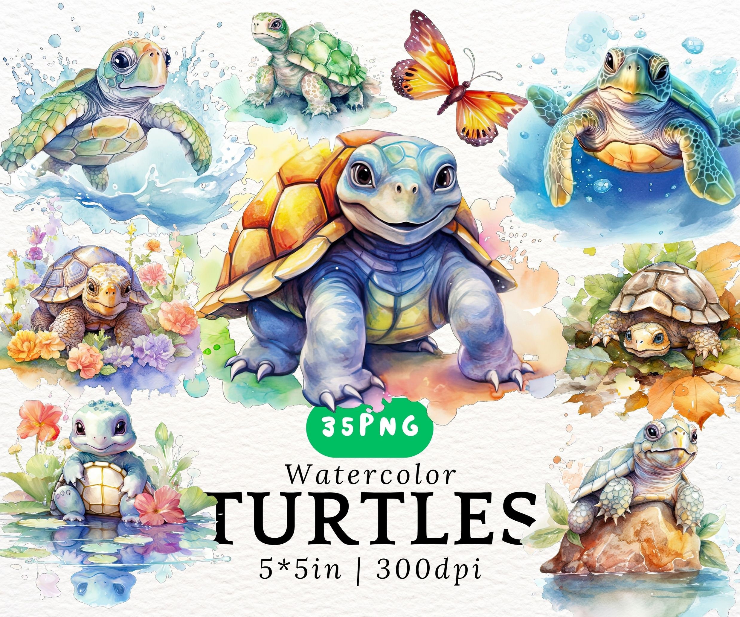 Chubby Turtles Watercolor Clipart Cute Kawaii Cartoon Turtles, Baby ...