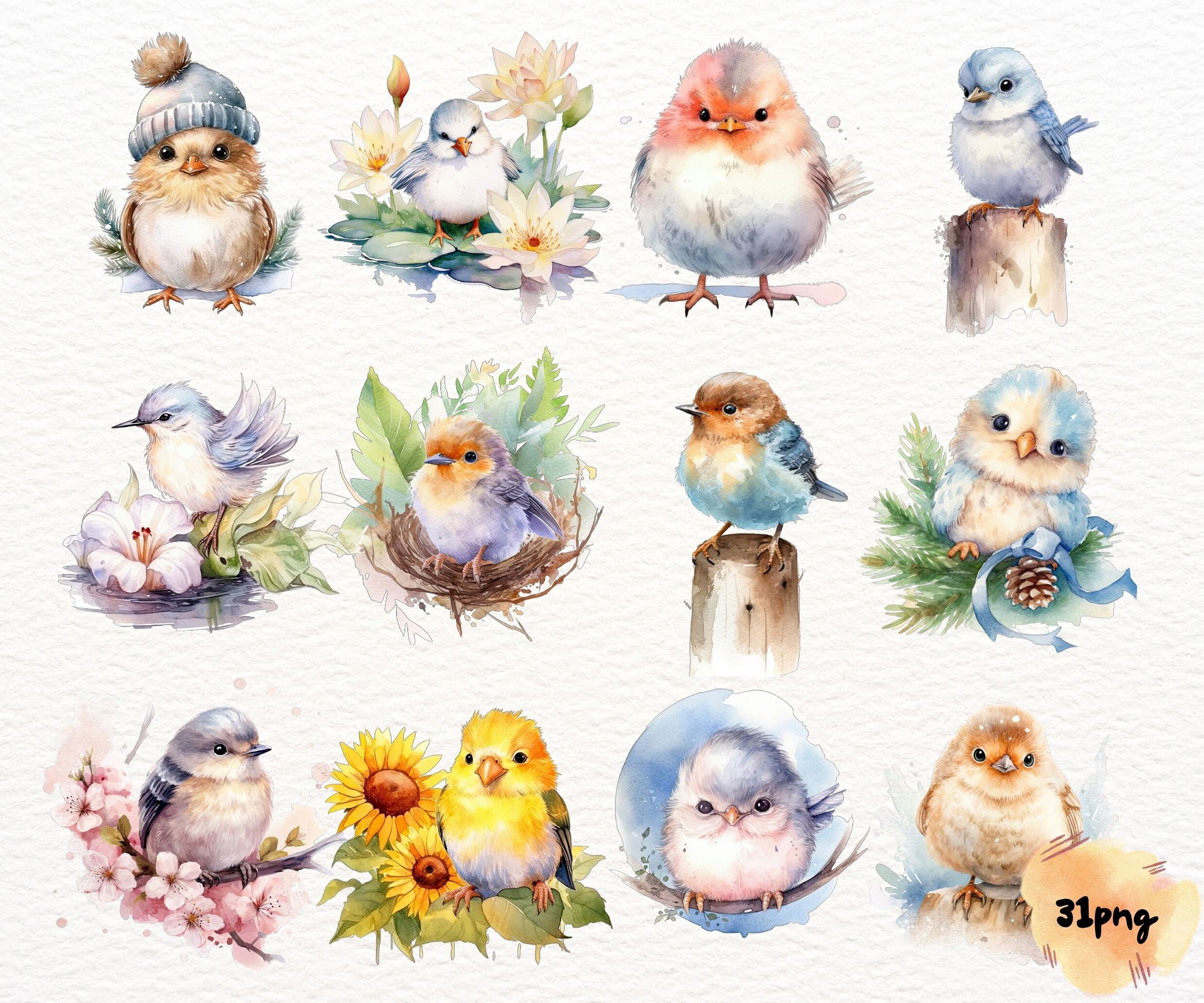 Chubby Birds Watercolor Clipart - Cute Kawaii Cartoon Birds, Baby Birds ...