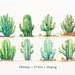 Watercolor Cactus Clipart - Desert Succulent PNG, Floral Cacti Stickers ...