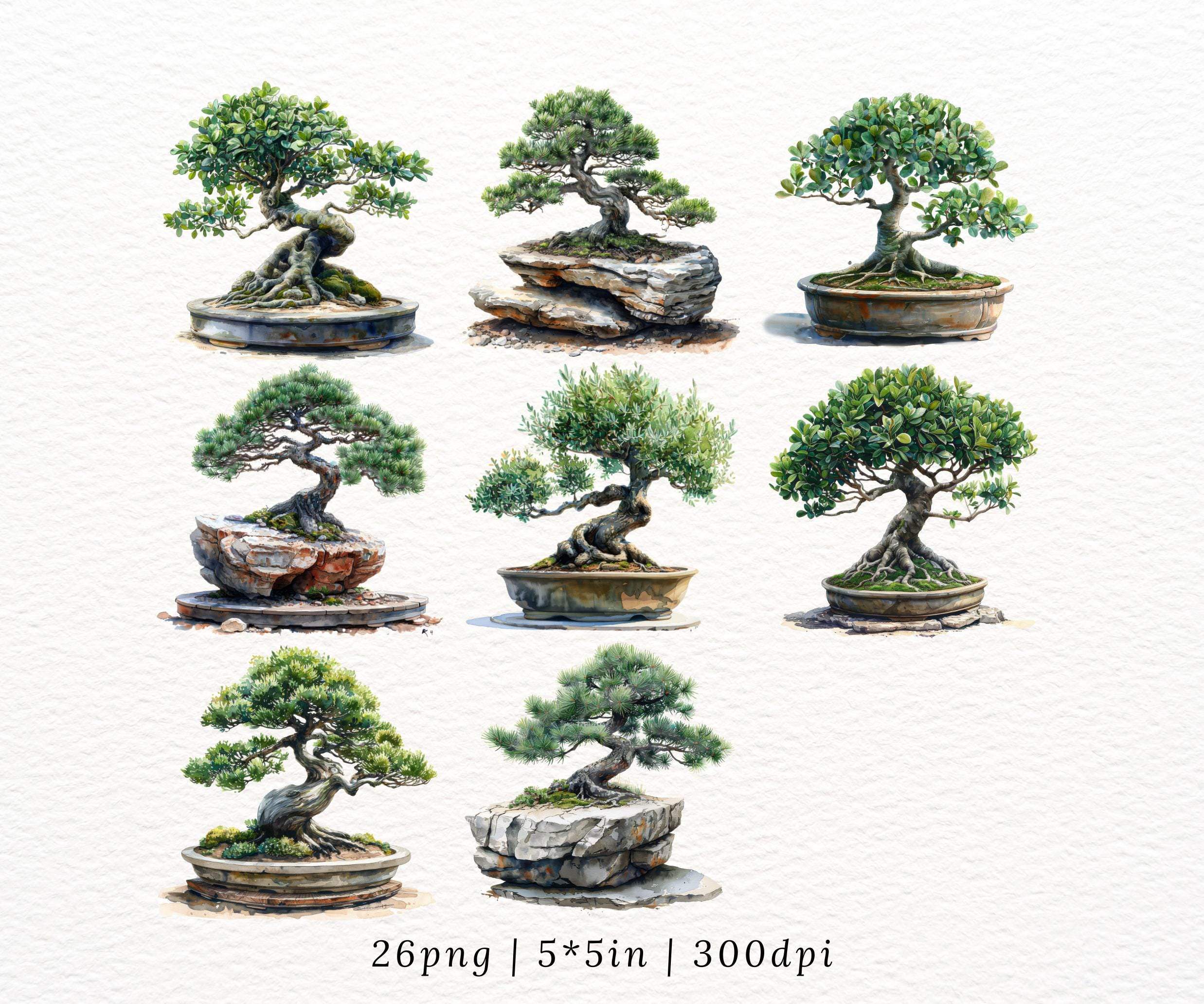 Watercolor Bonsai Tree Clipart - 26 PNG Miniature Tree Illustrations ...