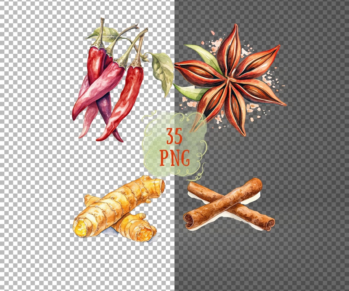 Herbs and Spices Watercolor Clipart Chives Basil Garlic - Etsy