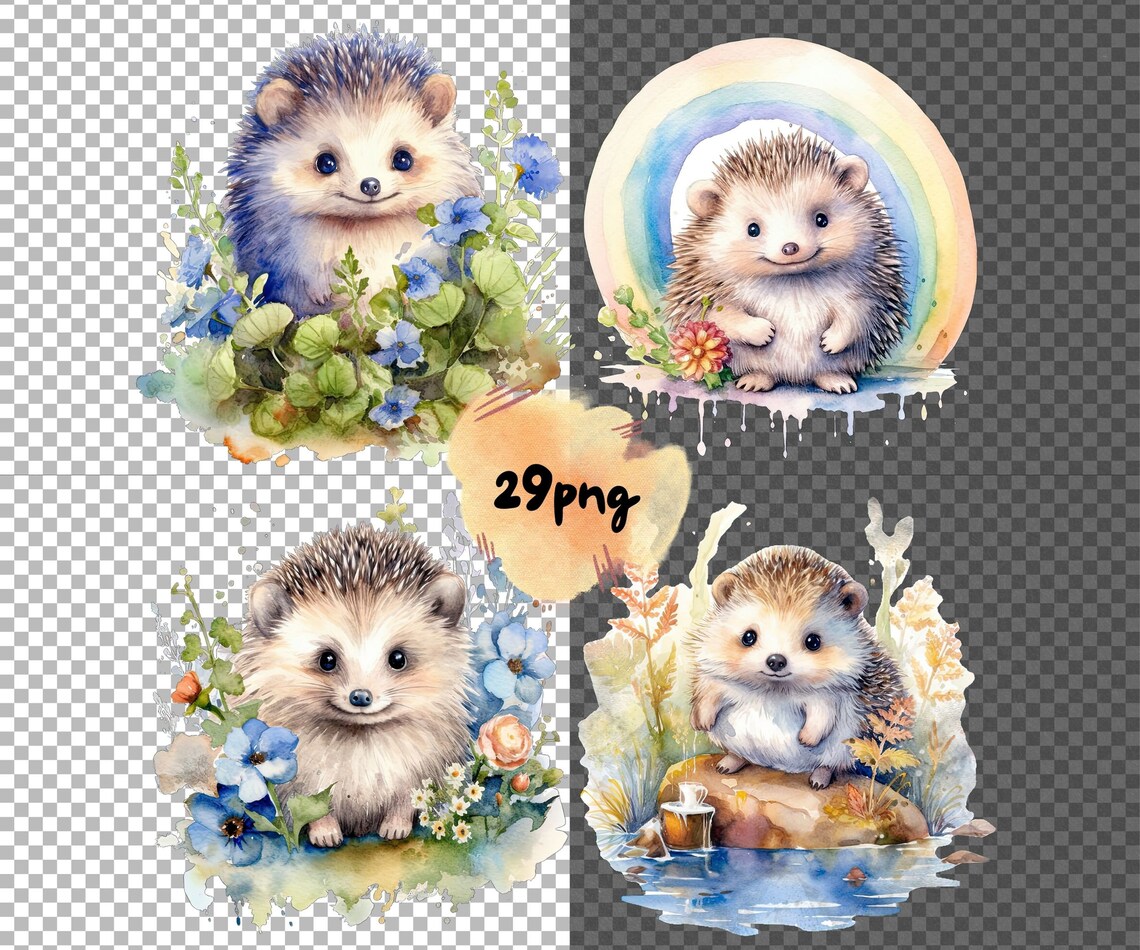 Chubby Hedgehogs Watercolor Clipart - Cute Kawaii Cartoon Hedgehogs ...
