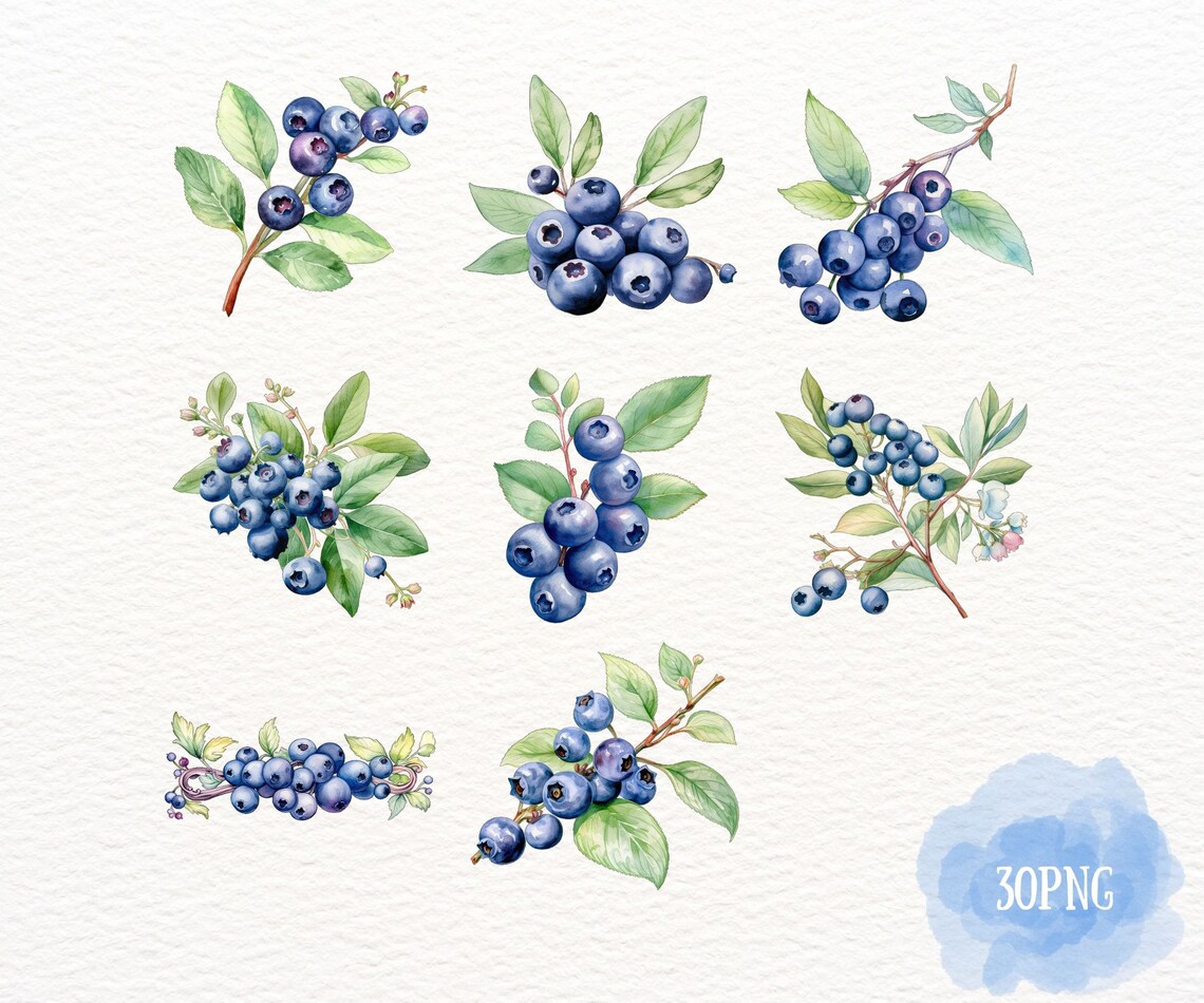 Blueberry Watercolor Clipart, Decorative Frame, Line, Leaf, Fruit ...