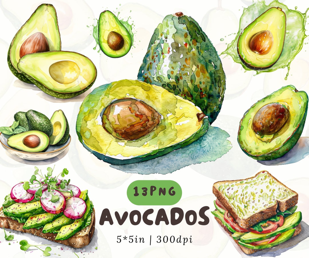 Watercolor Avocado Clipart,healthy Food Png,avocado Toast Illustration ...
