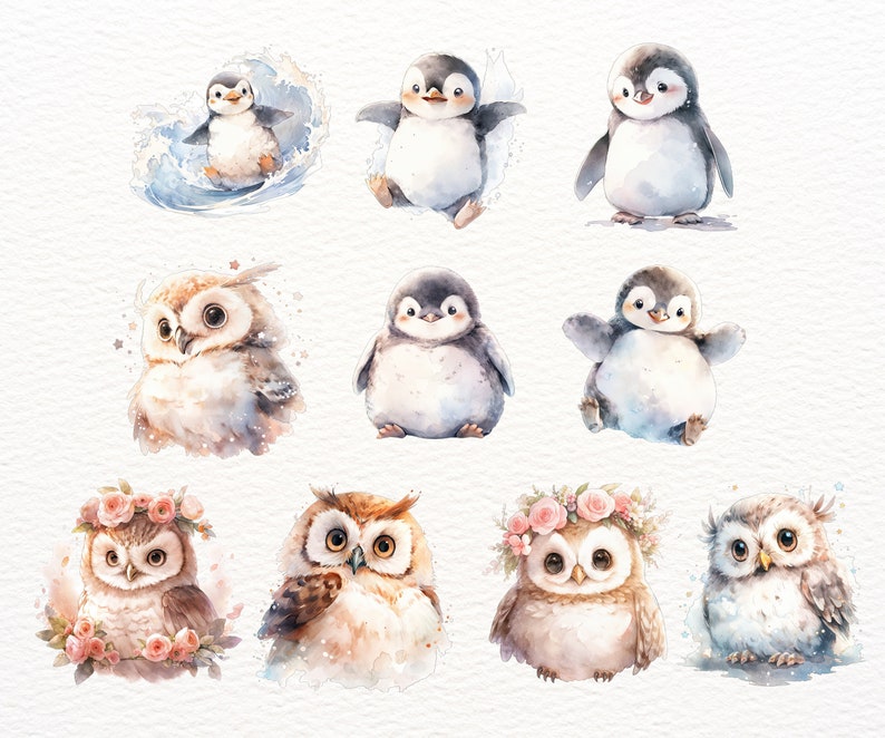 Watercolor Clipart of Cute Zoo Animal Png, Chubby Baby Animal Clipart ...