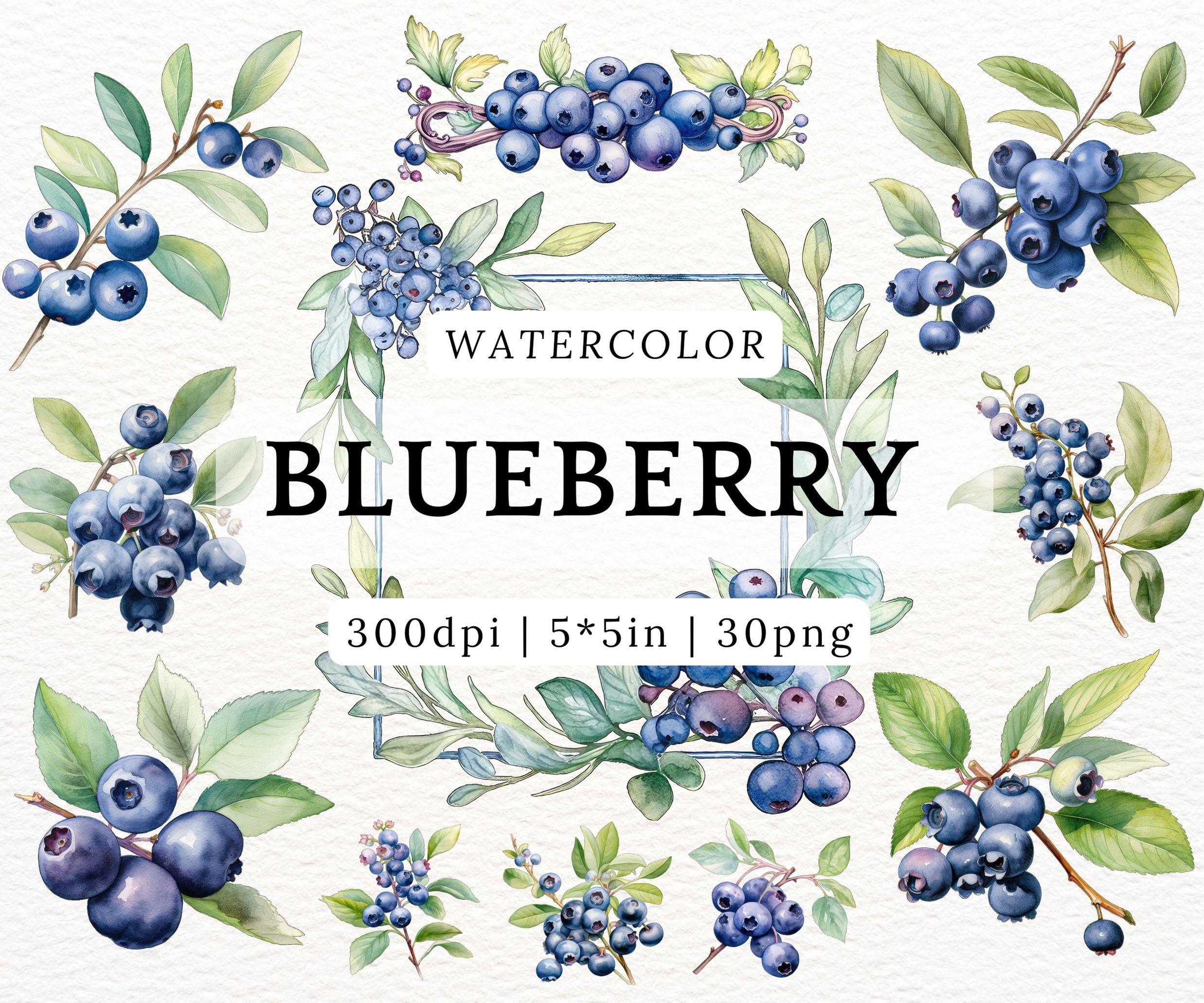 Blueberry Watercolor Clipart, Decorative Frame, Line, Leaf, Fruit ...