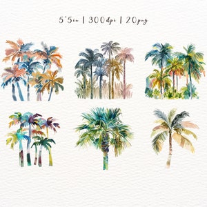 Colorful Watercolor Palm Tree Clipart, Tropical Summer PNG, Jungle ...